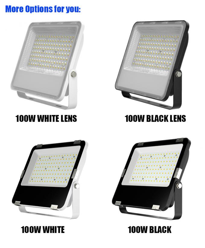 Builders Warehouse Led Floodlights 100w 60 Degree ODM